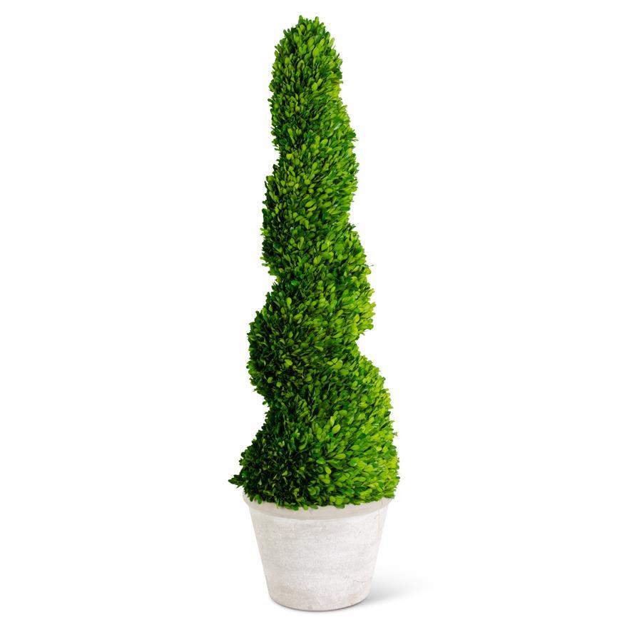 Live preserved spiral boxwood topiary tree - 47" – Vivian Rose Shop